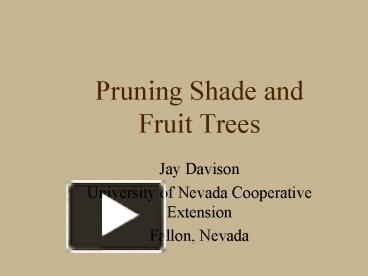 PPT – Pruning Shade and Fruit Trees PowerPoint presentation | free to ...