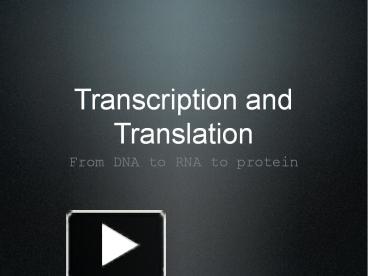 Transcription and Translation presentation | free to download