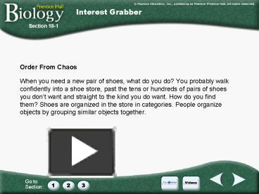 Order From Chaos presentation | free to view