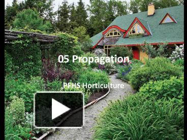 PPT – 05 Propagation PowerPoint presentation | free to view - id ...