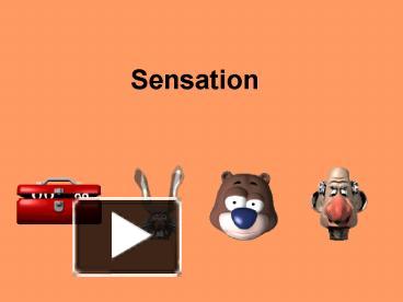 PPT – Sensation PowerPoint presentation | free to view - id: 42b9fe-YmM1N