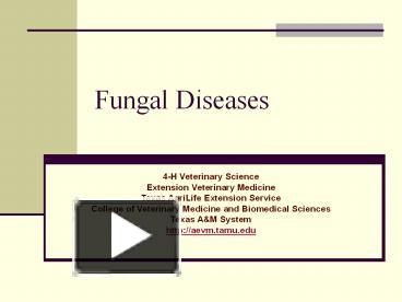 Fungal Diseases presentation | free to download