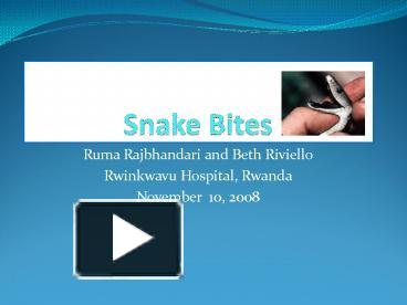 Snake Bites presentation | free to view