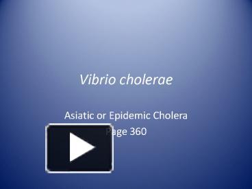 Vibrio cholerae presentation | free to view