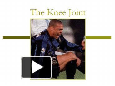PPT – The Knee Joint PowerPoint presentation | free to download - id ...