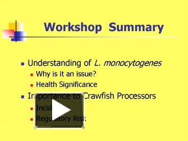 PPT – Workshop Summary PowerPoint presentation | free to download - id ...