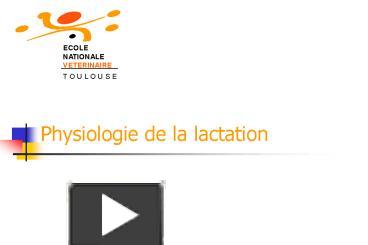 PPT – Physiologie de la lactation PowerPoint presentation | free to ...
