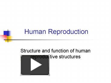 Human Reproduction presentation | free to view