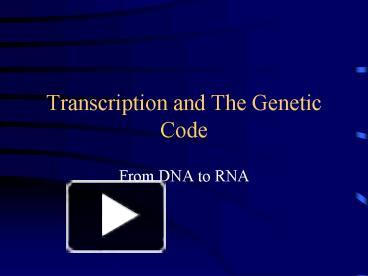 PPT – Transcription and The Genetic Code PowerPoint presentation | free ...