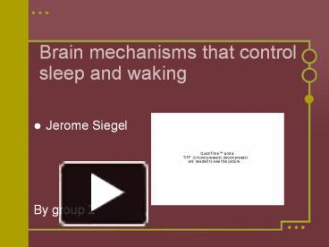 PPT – Brain mechanisms that control sleep and waking PowerPoint ...