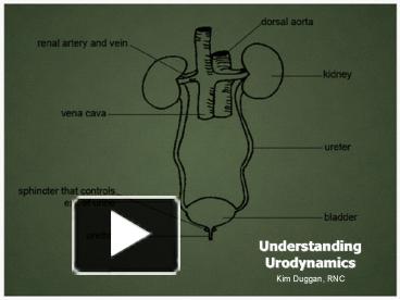 Understanding Urodynamics presentation | free to view