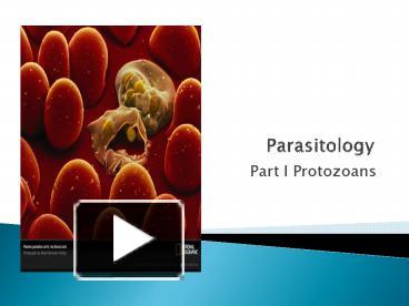 Parasitology presentation | free to download