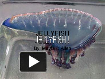 JELLYFISH presentation | free to download