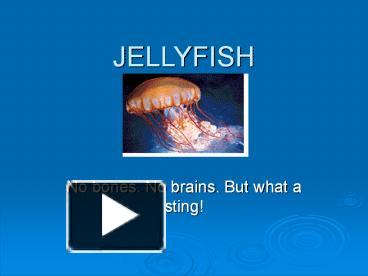 PPT – JELLYFISH PowerPoint presentation | free to download - id: 43ae7b ...