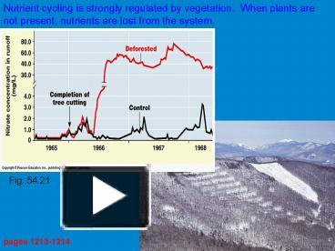 Introduction to Animal Evolution presentation | free to download