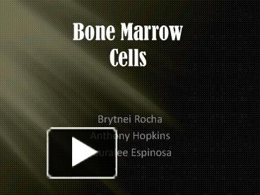 Bone Marrow Cells presentation | free to view
