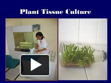Plant Tissue Culture presentation | free to view