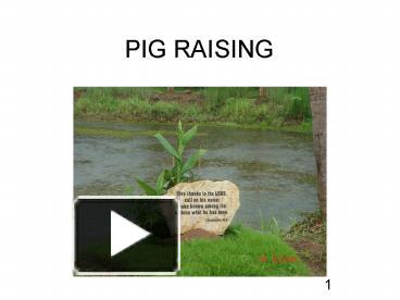 PIG RAISING presentation | free to view