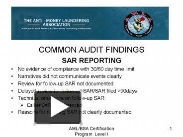 COMMON AUDIT FINDINGS presentation | free to view