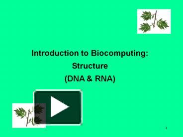Introduction to Biocomputing: presentation | free to download