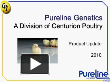 Pureline Genetics A Division of Centurion Poultry presentation | free ...