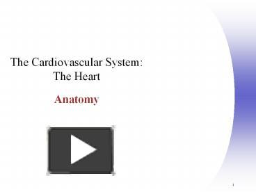 PPT – The Cardiovascular System: The Heart PowerPoint presentation ...