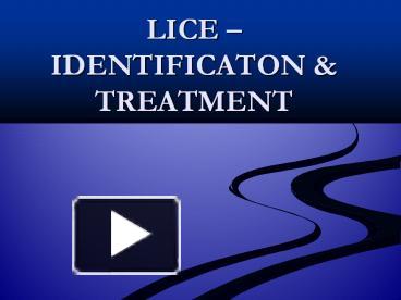 LICE presentation | free to download