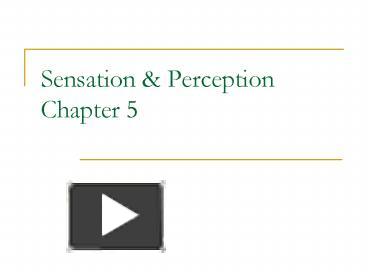 PPT – Sensation PowerPoint presentation | free to view - id: 45bfba-MmVmN
