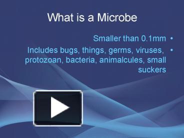 PPT – What is a Microbe PowerPoint presentation | free to view - id ...