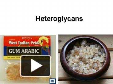 PPT – Heteroglycans PowerPoint presentation | free to view - id: 4613bb ...
