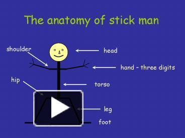 PPT – The anatomy of stick man PowerPoint presentation | free to ...