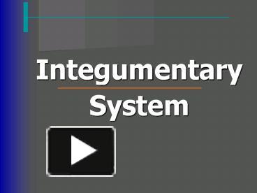 PPT – Integumentary System PowerPoint presentation | free to download ...
