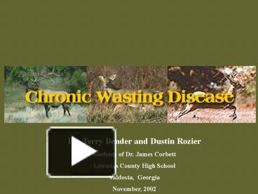 PPT – By: Terry Bender and Dustin Rozier PowerPoint presentation | free ...