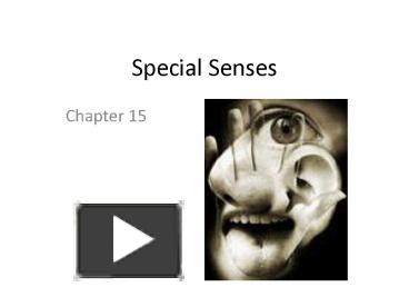 PPT – Special Senses PowerPoint presentation | free to view - id ...