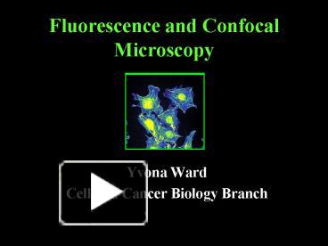 Fluorescence and Confocal Microscopy presentation | free to view