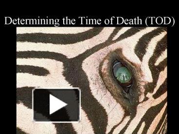 PPT – Determining the Time of Death (TOD) PowerPoint presentation ...