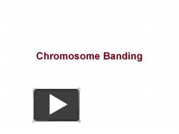 Chromosome Banding presentation | free to download