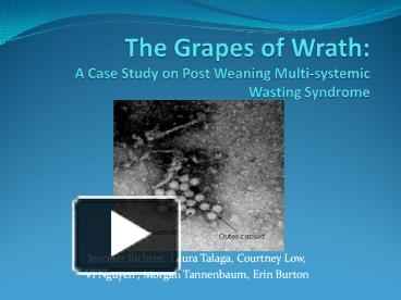 PPT – The Grapes of Wrath: A Case Study on Post Weaning Multi-systemic ...