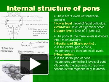 Internal structure of pons presentation | free to view
