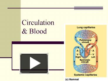 PPT – Circulation PowerPoint presentation | free to view - id: 473d5-NDJkM