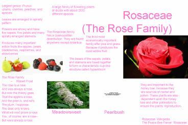 Rosaceae (The Rose Family) presentation | free to view
