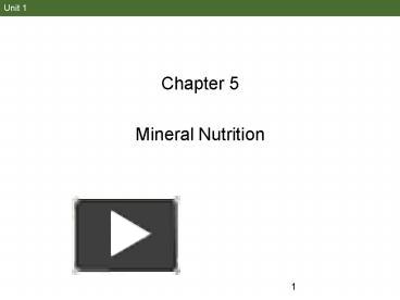 Mineral Nutrition presentation | free to view