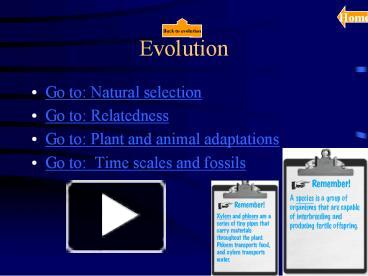 PPT – Evolution PowerPoint presentation | free to download - id: 47bf60 ...