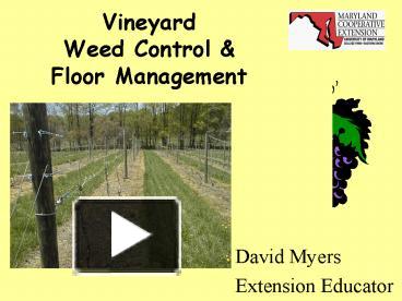 PPT – Vineyard Weed Control PowerPoint presentation | free to view - id ...