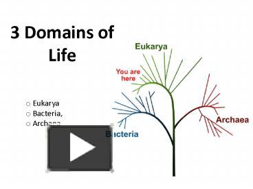 3 Domains of Life presentation | free to view