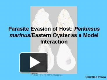 PPT – Parasite Evasion of Host: Perkinsus marinus/Eastern Oyster as a ...