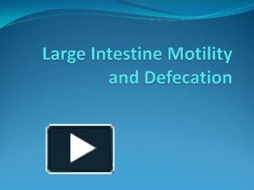 Large Intestine Motility and Defecation presentation | free to view