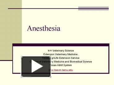 Anesthesia presentation | free to download