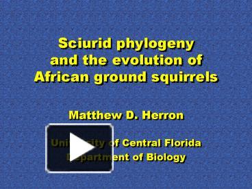 Sciurid phylogeny and the evolution of African ground squirrels ...