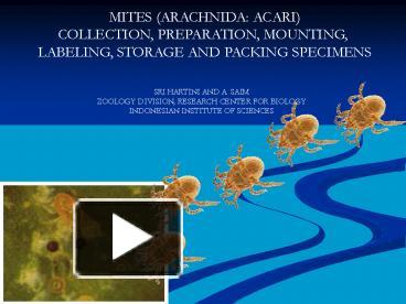 MITES (ARACHNIDA: ACARI) presentation | free to view